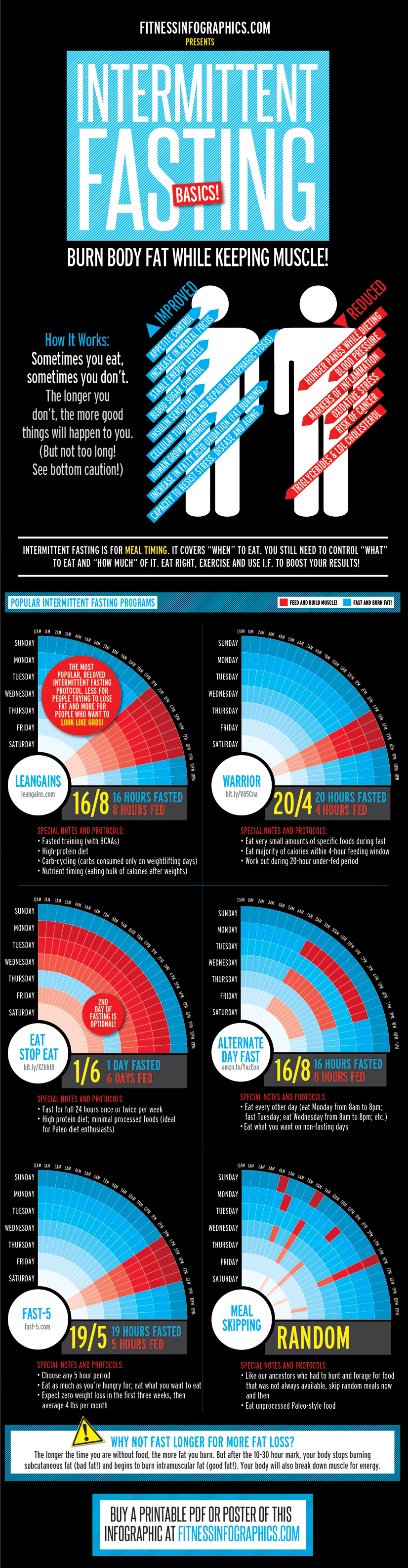 Fitness Infographics » Diets: Intermittent Fasting Basics Fitness Infographics » Diets: Intermittent Fasting Basics